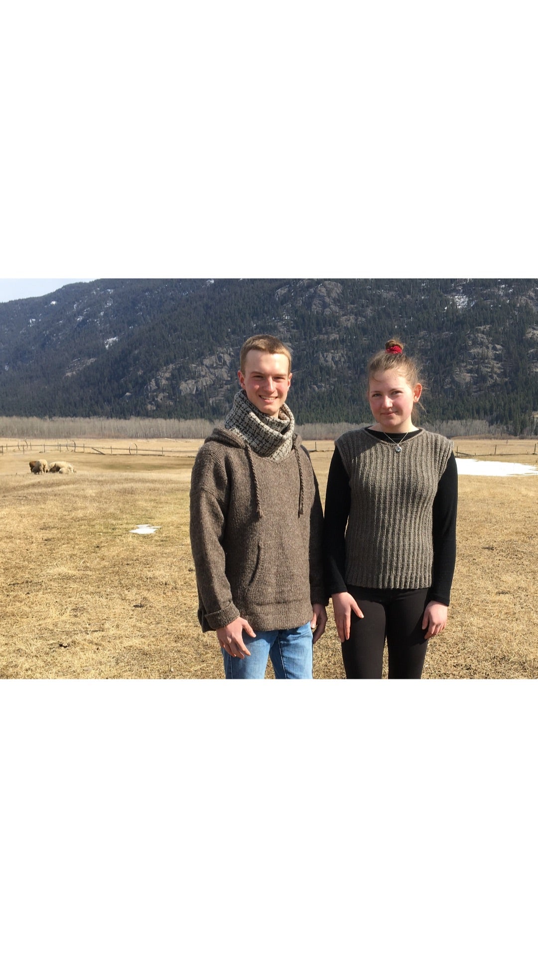 Certified 100% Canadian Grown & Milled Wool – Disdero Ranch